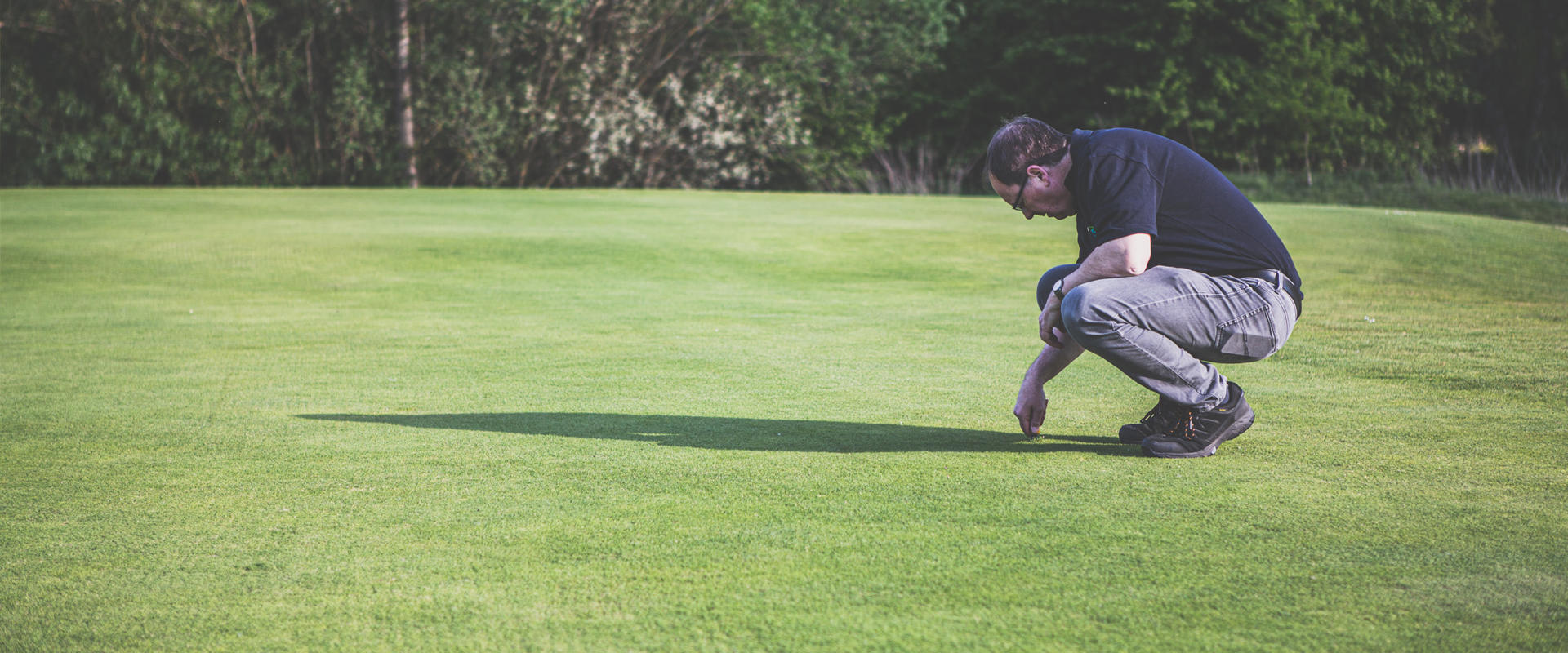 Service - iNova Green